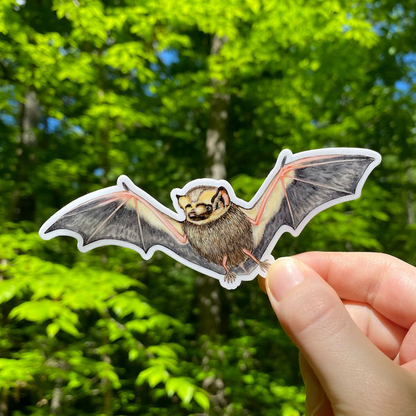 Hoary Bat Weatherproof Vinyl Sticker – Allison Stoiser Art